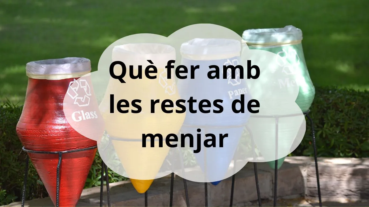 Opcions per reciclar restes de menjar a casa